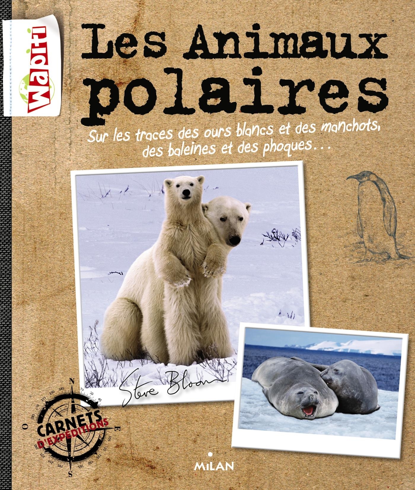 animaux polaires (Les)